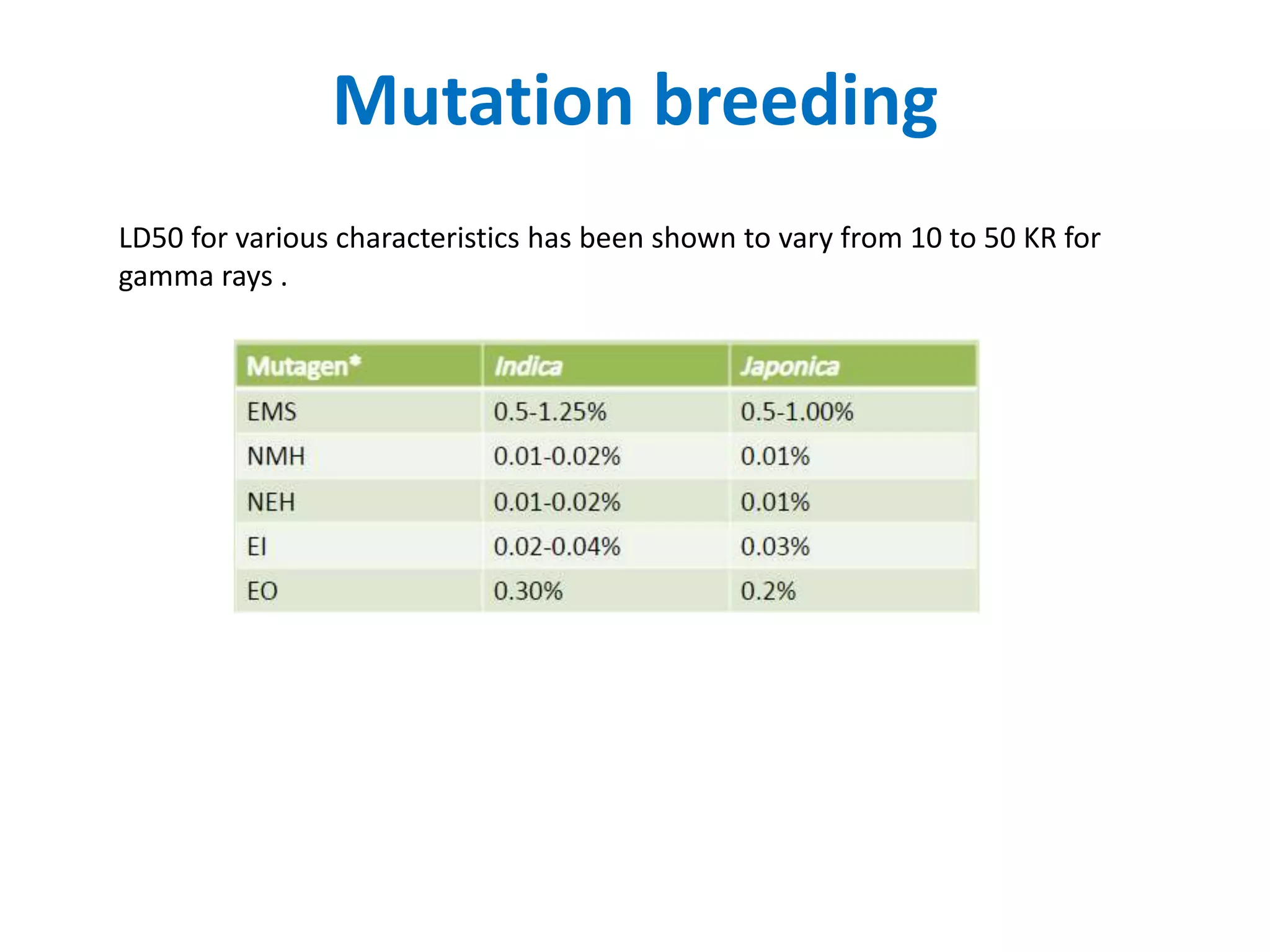 Breeding of rice.pptx