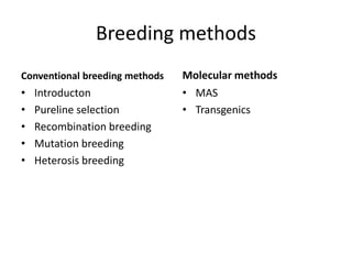 Breeding of rice.pptx