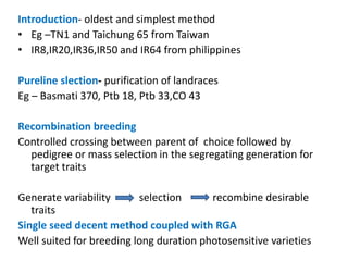 Breeding of rice.pptx