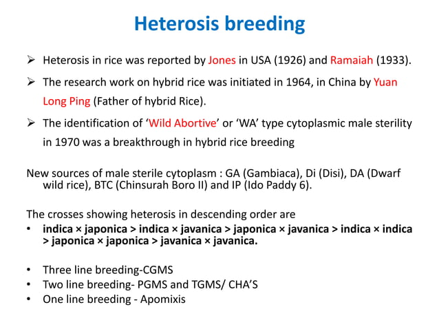 Breeding of rice.pptx | Agriculture | Industries
