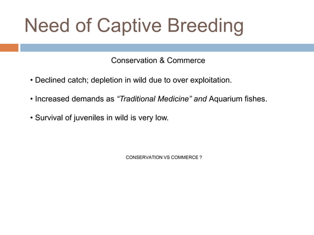 Captive Breeding of Seahorse (Hippocampus sps.) | PPTX | Zoos & Aquariums | Attractions