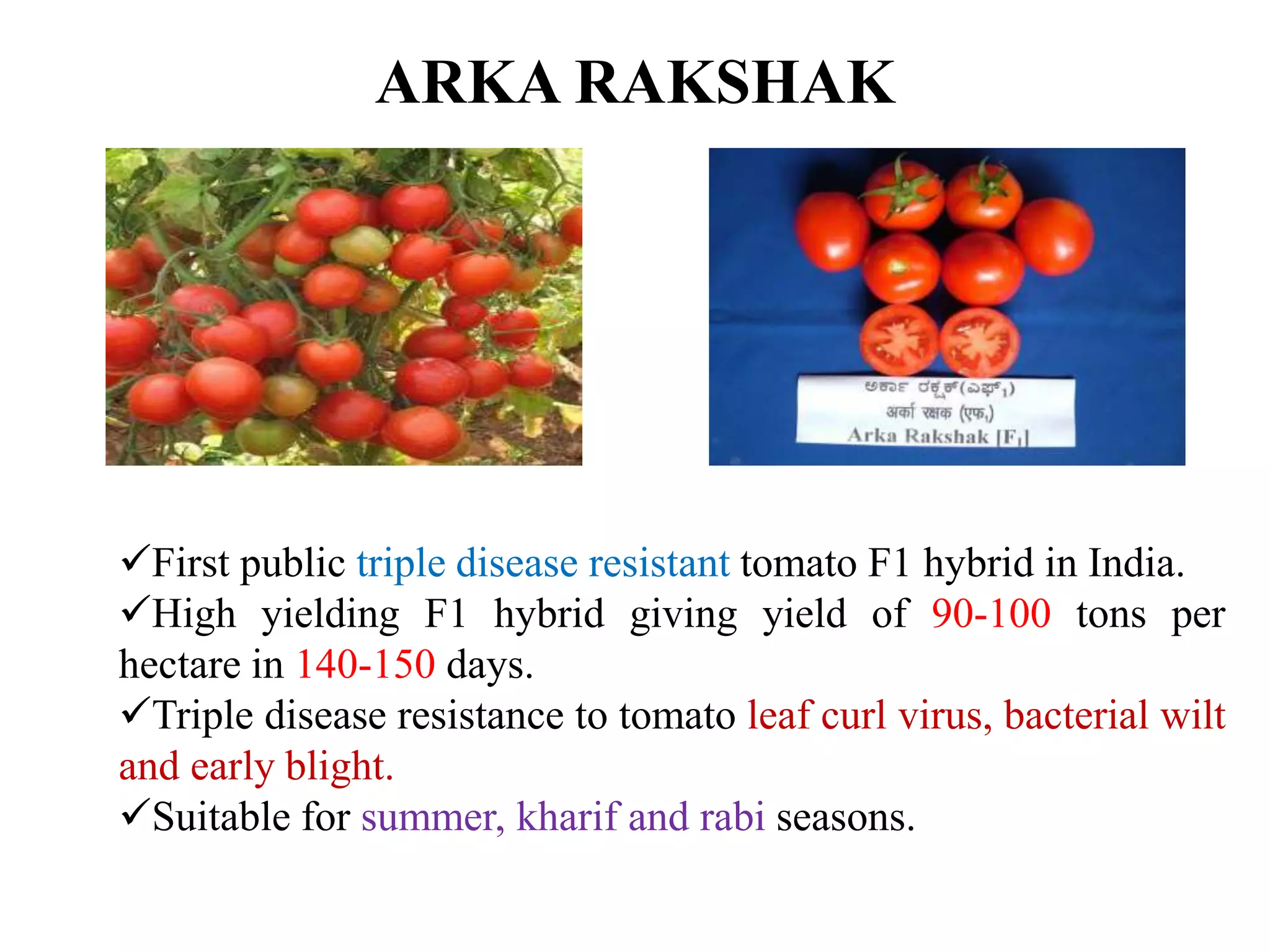 Floral biology and breeding techniques in tomato | PPTX