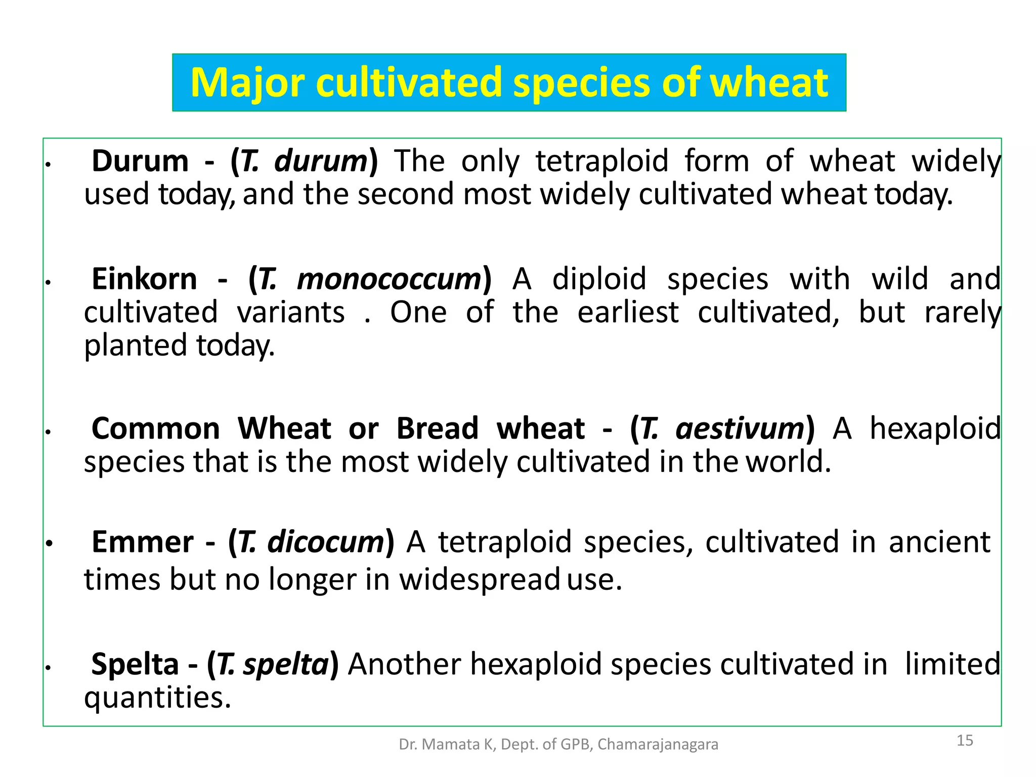 Breeding of wheat | PDF