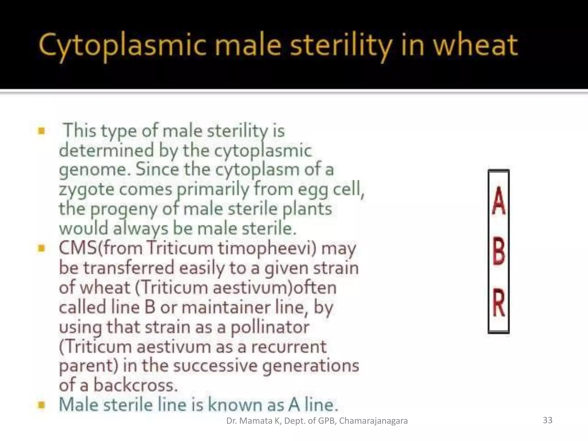 Breeding of wheat | PDF