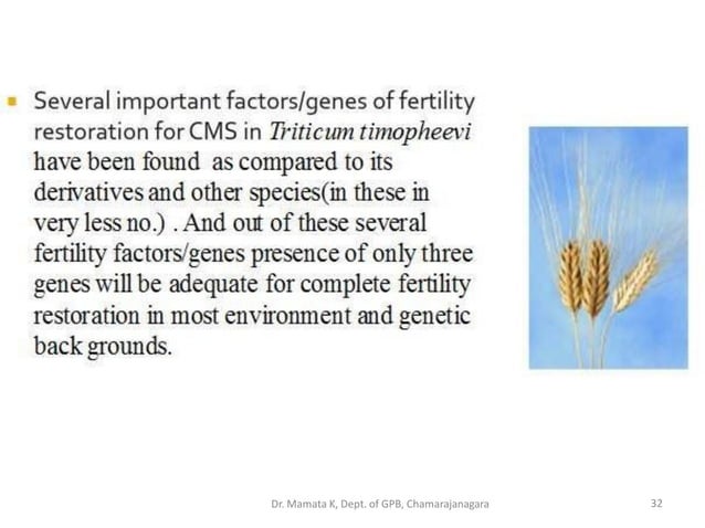 Breeding of wheat | PDF | Agriculture | Industries