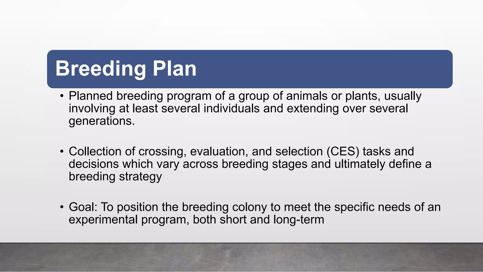 Breeding plan.pptx