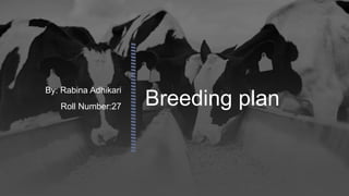 Breeding plan.pptx
