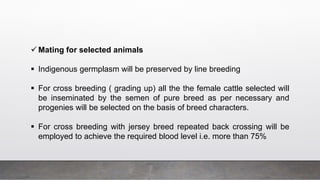 Breeding plan.pptx