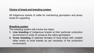 Breeding plan.pptx