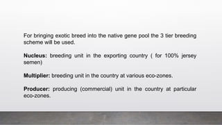Breeding plan.pptx
