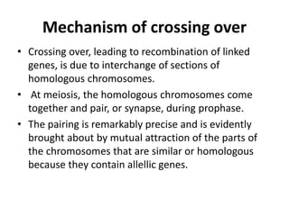 CROSSING OVER PPT | PPTX