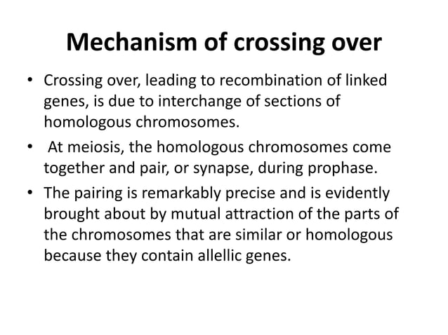 CROSSING OVER PPT | PPTX