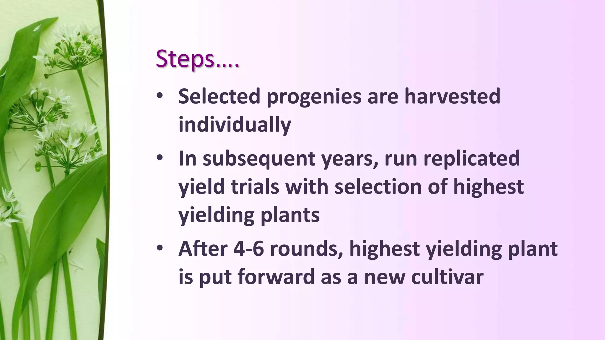 Breeding principles in self pollinated crops.pptx