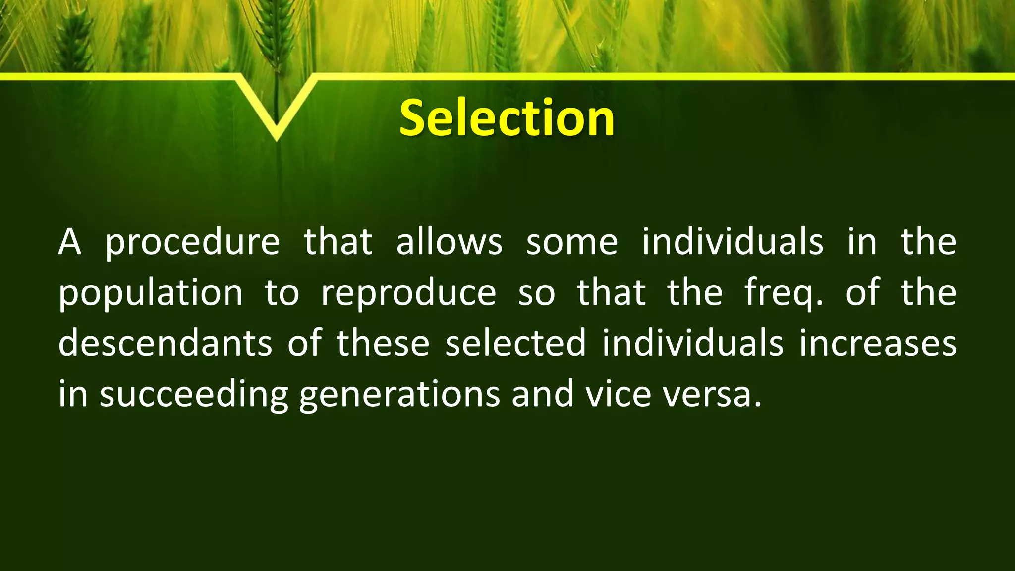 Breeding principles in self pollinated crops.pptx