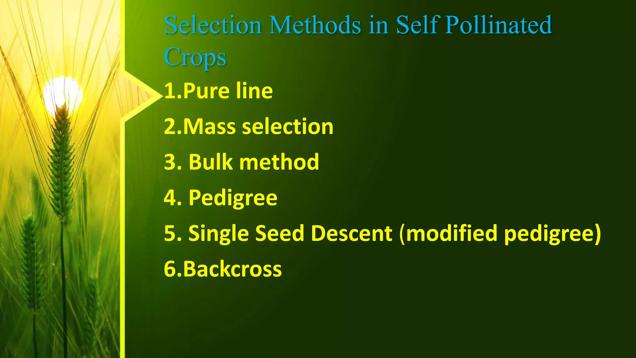 Breeding principles in self pollinated crops.pptx