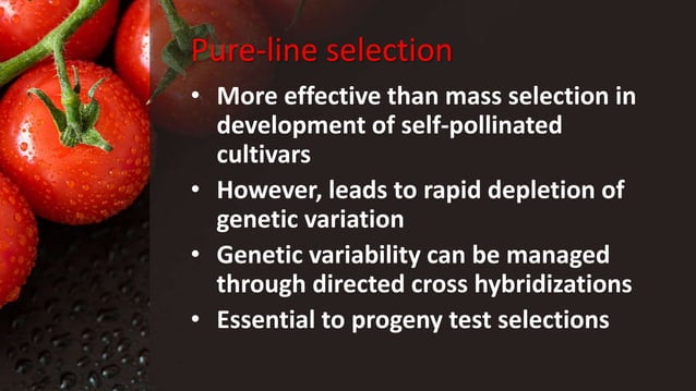 Breeding principles in self pollinated crops.pptx