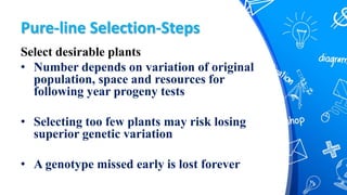 Breeding principles in self pollinated crops.pptx
