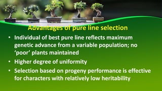Breeding principles in self pollinated crops.pptx