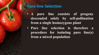 Breeding principles in self pollinated crops.pptx