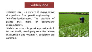 Breeding project s | PPT