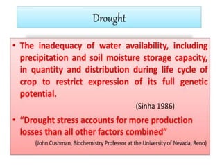 Breeding rice for drought | PPTX