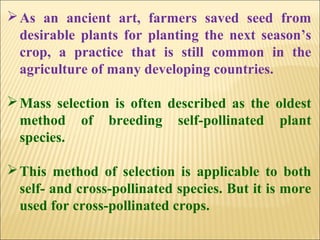 Breeding self pollinated crops | PPT