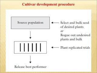 Breeding self pollinated crops | PPT