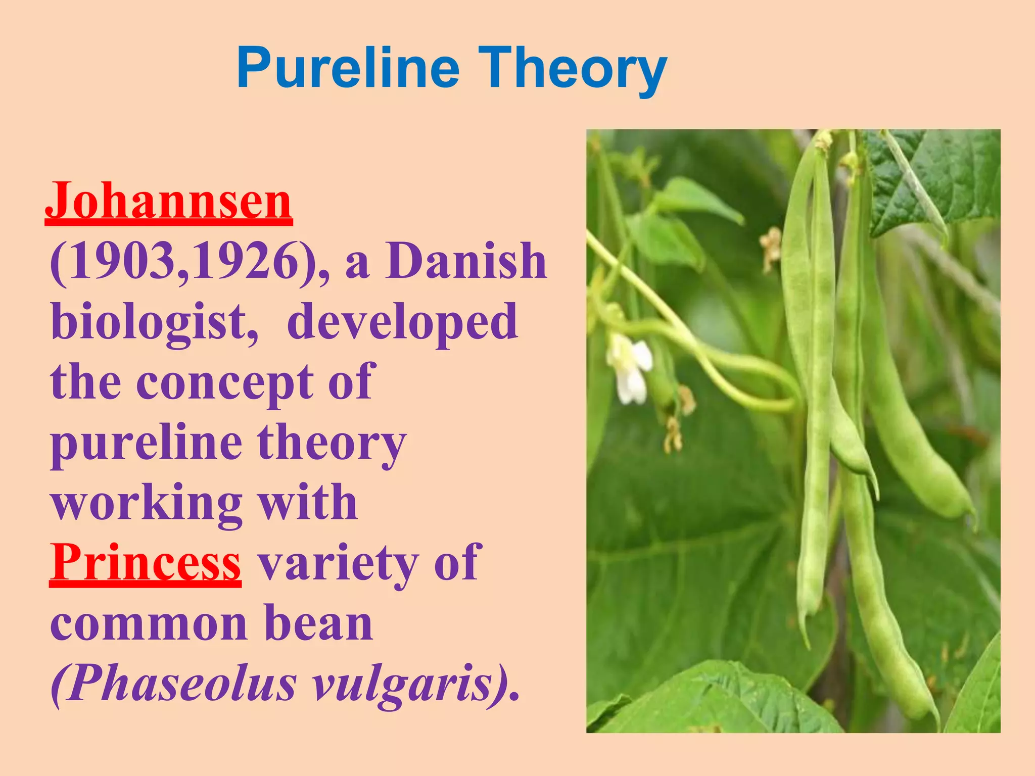 Breeding of self pollinated crops | PPTX