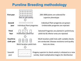 Breeding of self pollinated crops | PPT