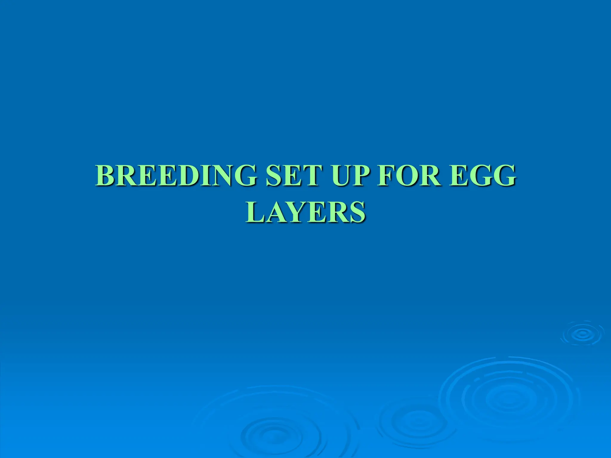 breeding_setup_of_egg_layers in which _-_12.ppt