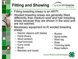 Breedingsheep Essentials | PPT