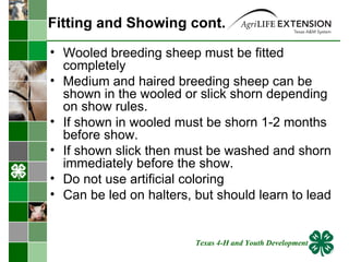 Breedingsheep Essentials | PPT