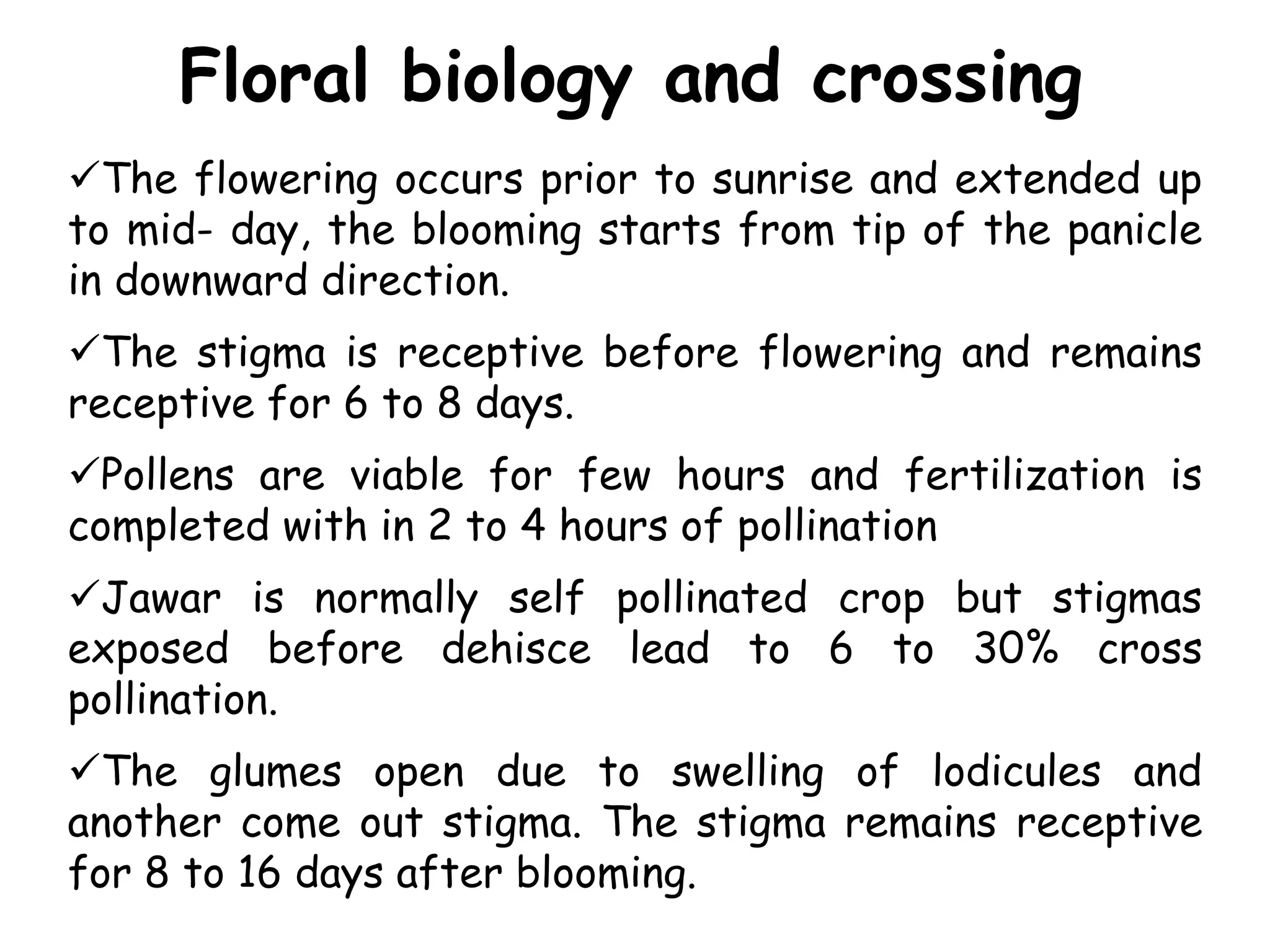 Breeding sorghum | PPTX