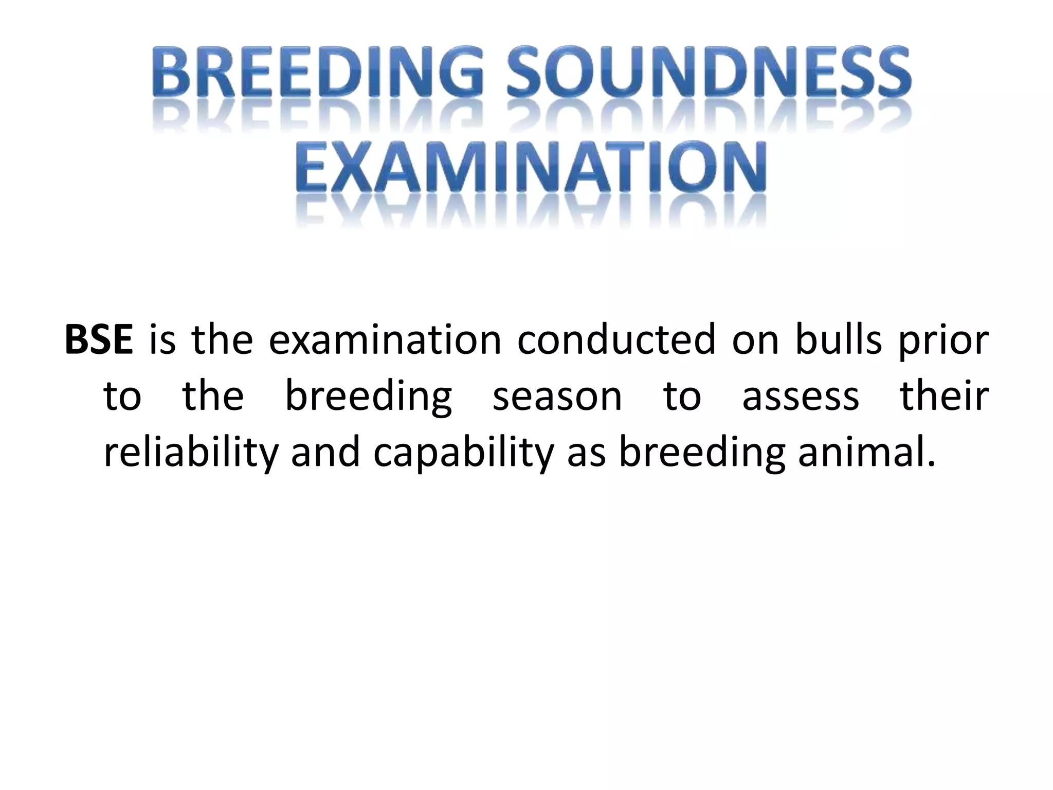 breeding soundness exam in bulls.pptx