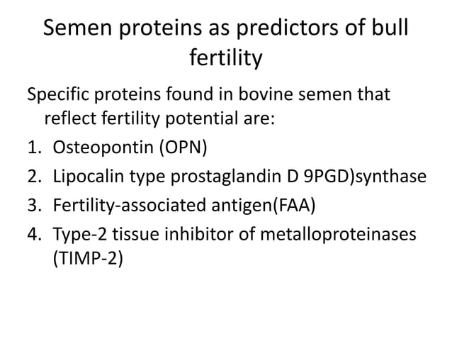 breeding soundness exam in bulls.pptx | Infertility | Reproductive Health