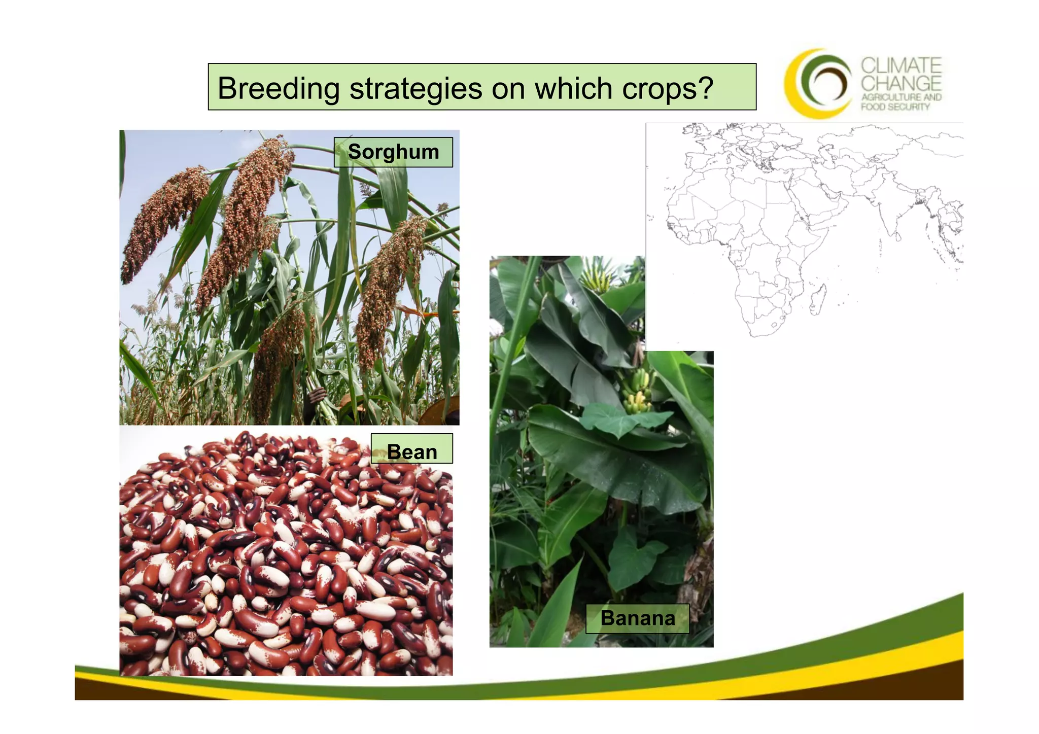 Breeding strategies | PDF