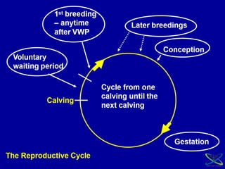 Breeding Strategies During Breeding Season.pdf
