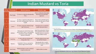 Breeding Strategies of Mustard for Biotic Stress Resilience By Achyuta ...