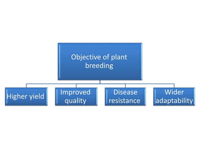 Plant Breeding Systems | PPTX