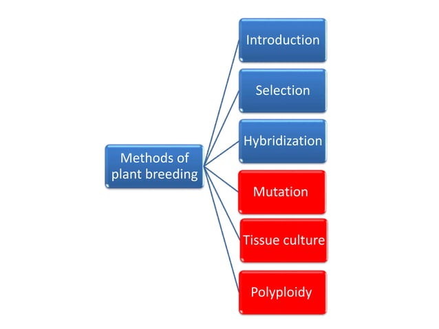 Plant Breeding Systems | PPTX