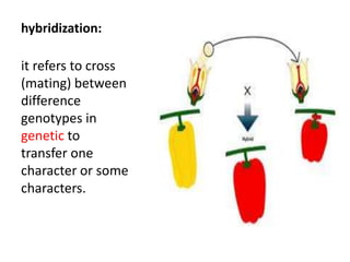 Plant Breeding Systems | PPTX