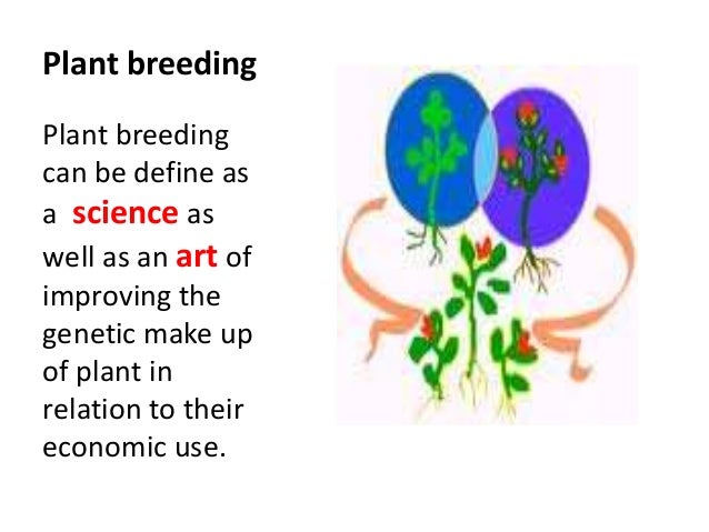 Plant Breeding Systems