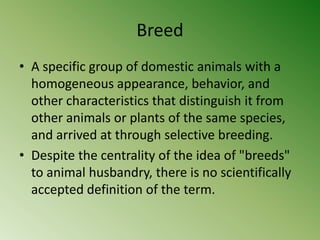 Breeding systems | PPT