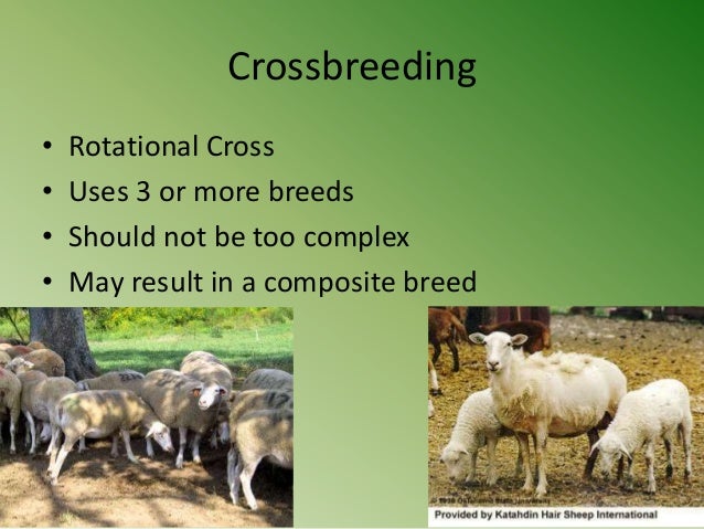 Breeding systems