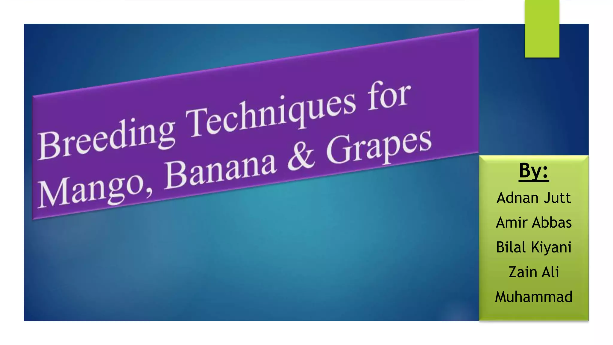 Breeding techniques for mango banana grapes | PPT