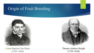 Breeding techniques for mango banana grapes | PPT