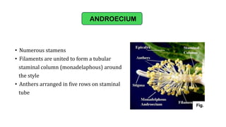 Cotton Floral biology and breeding techniques.pdf