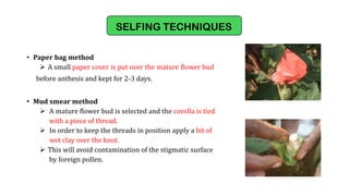 Cotton Floral biology and breeding techniques.pdf