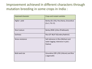 Breeding techniques in self pollinated crops presentation | PPTX