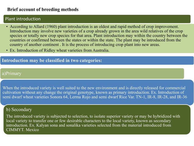 Breeding techniques in self pollinated crops presentation | PPTX